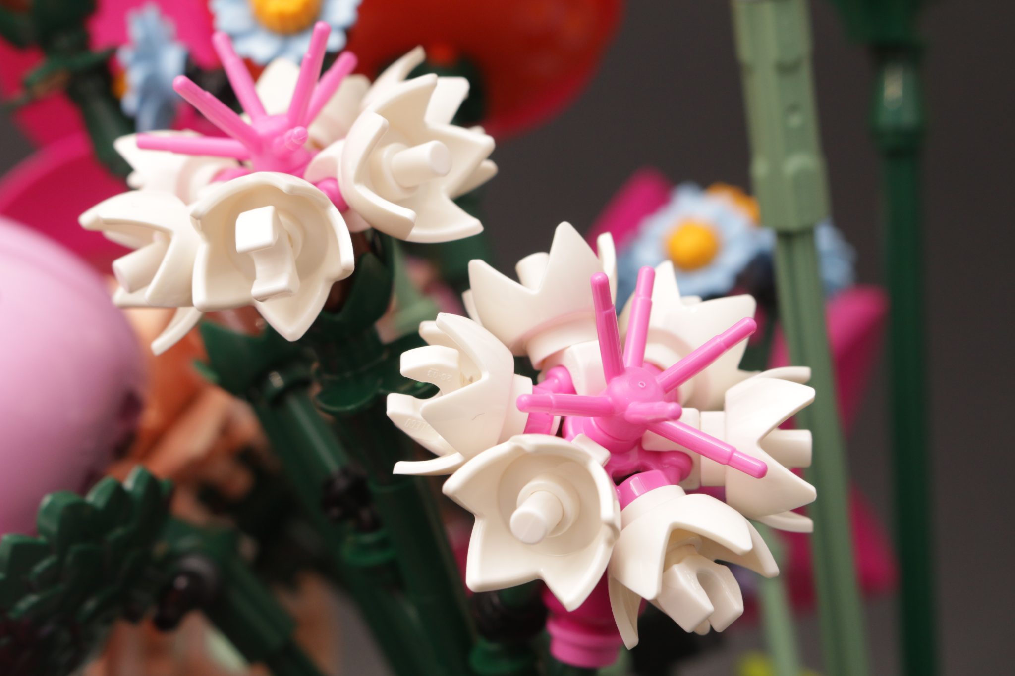 LEGO Botanicals 10342 Pretty Pink Flower Bouquet review