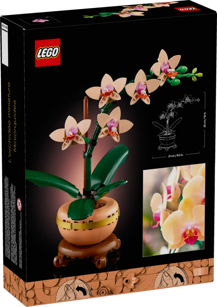 Four new LEGO Botanical Collection 2025 sets revealed