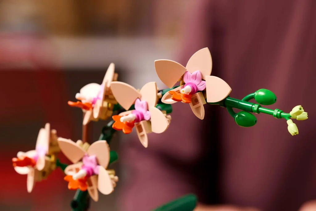 Four new LEGO Botanical Collection 2025 sets revealed