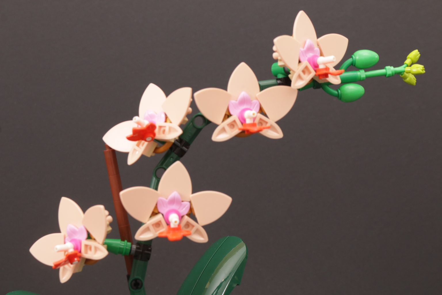 LEGO 10343 Mini Orchid and 10344 Lucky Bamboo review