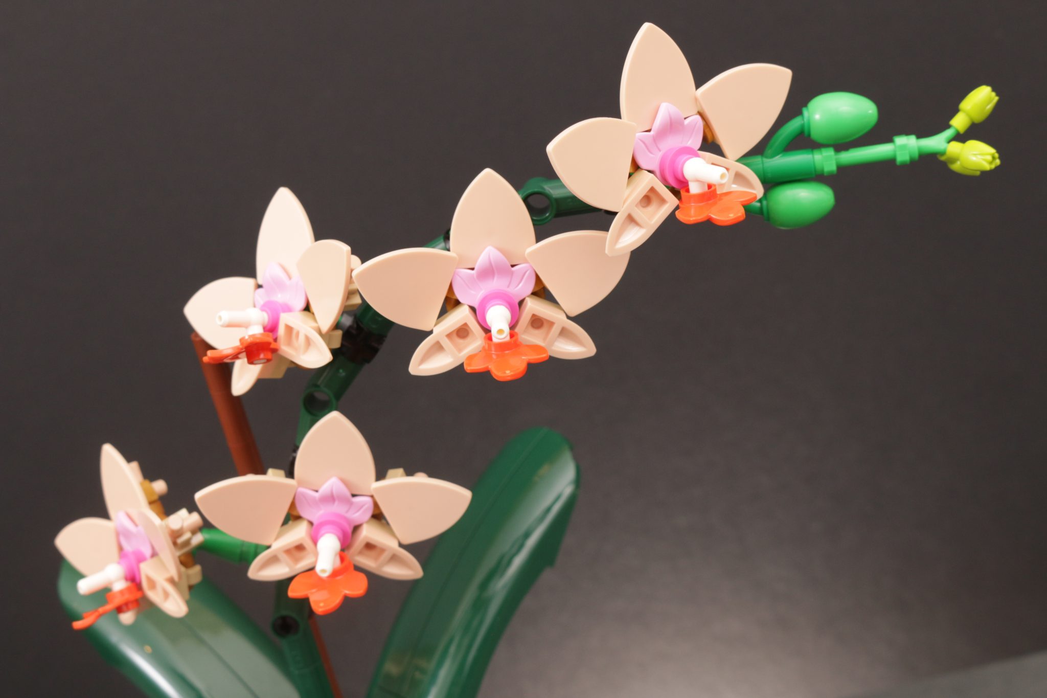 LEGO 10343 Mini Orchid and 10344 Lucky Bamboo review