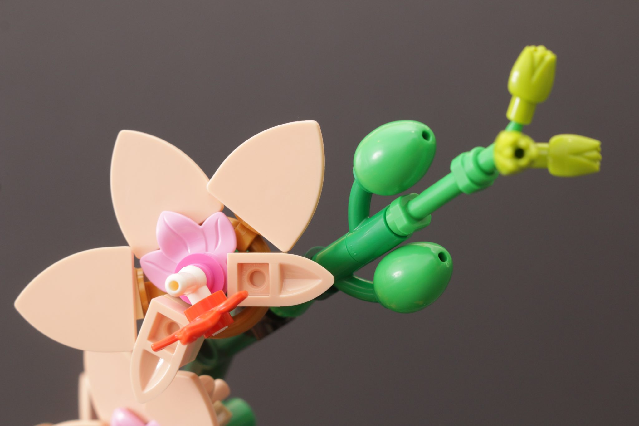 LEGO 10343 Mini Orchid and 10344 Lucky Bamboo review