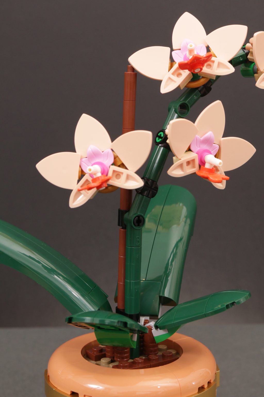 LEGO 10343 Mini Orchid and 10344 Lucky Bamboo review