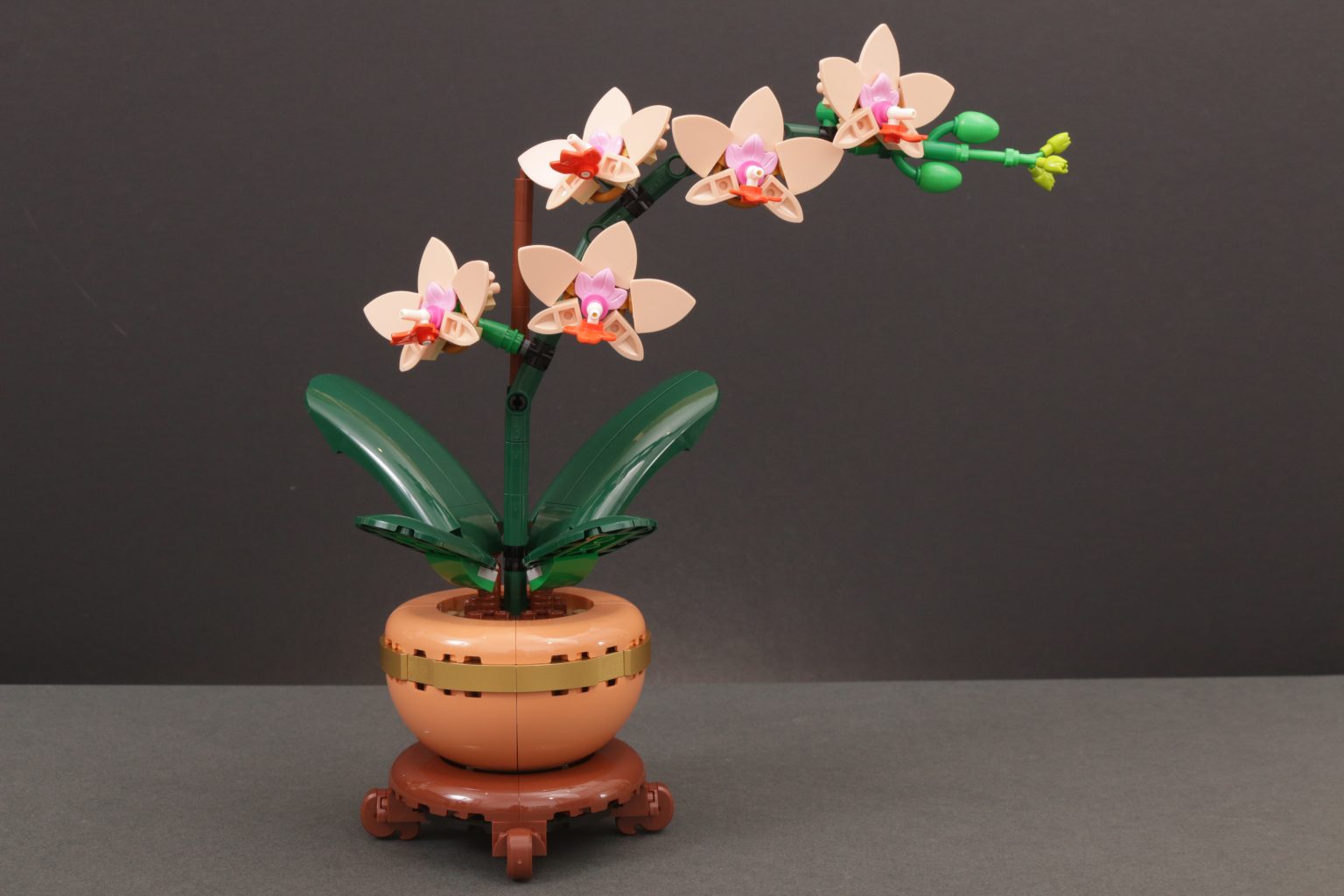 LEGO 10343 Mini Orchid and 10344 Lucky Bamboo review