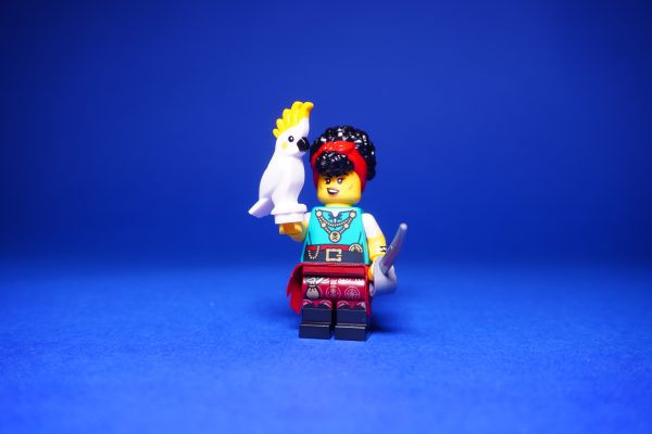 Collect 12 LEGO 71048 Series 27 minifigures starting today