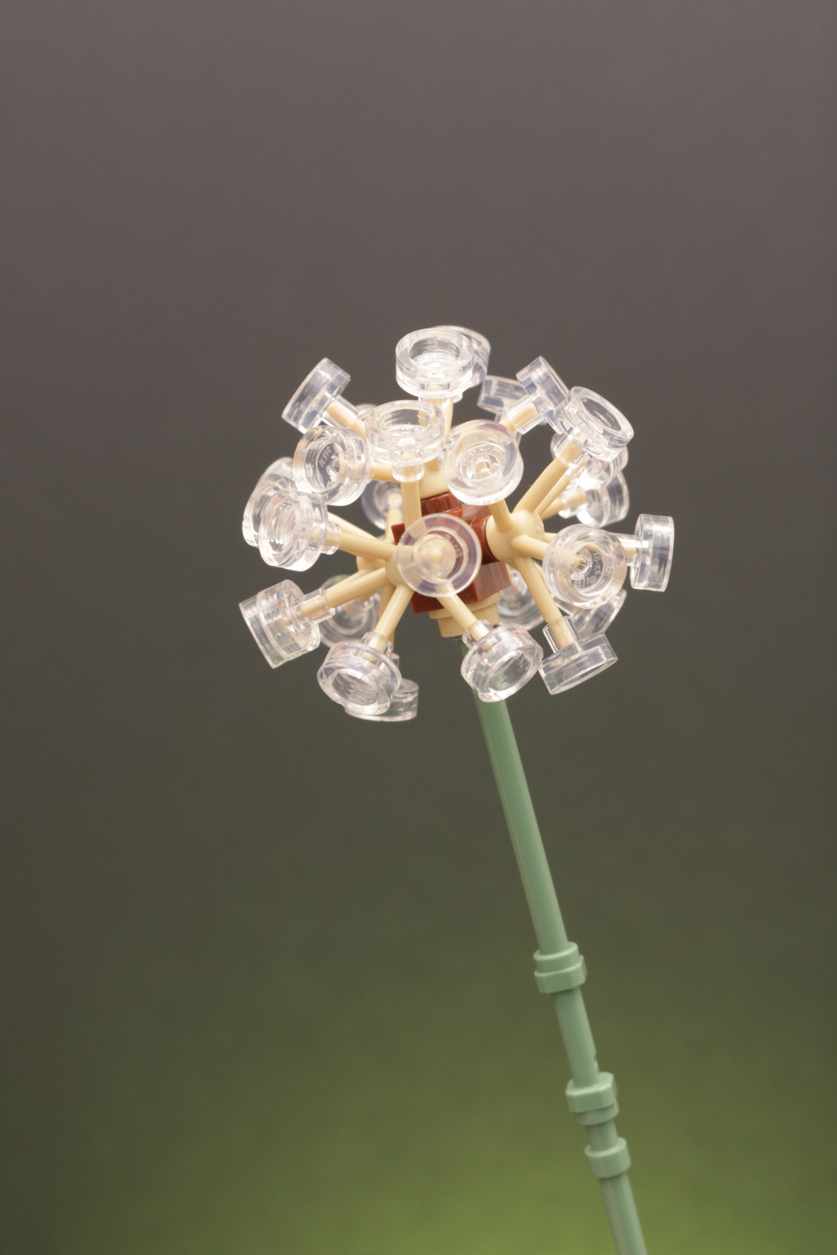 LEGO Botanicals 30701 Field Flowers polybag review