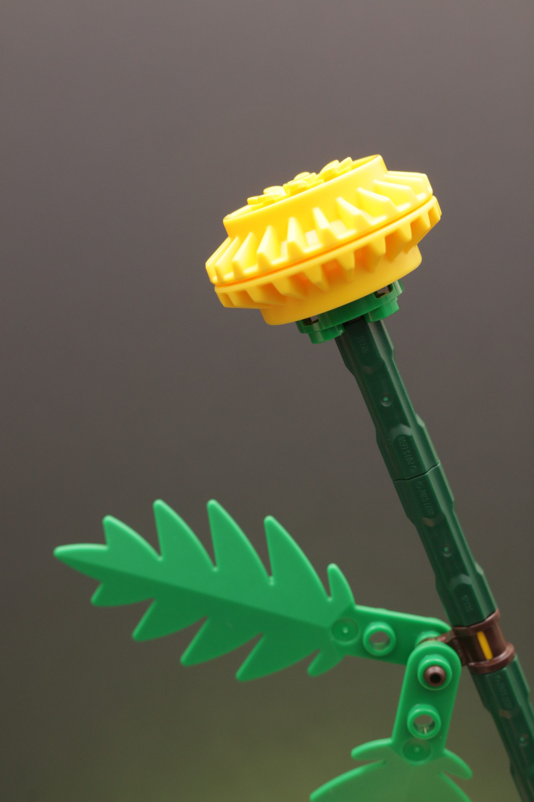 LEGO Botanicals 30701 Field Flowers polybag review