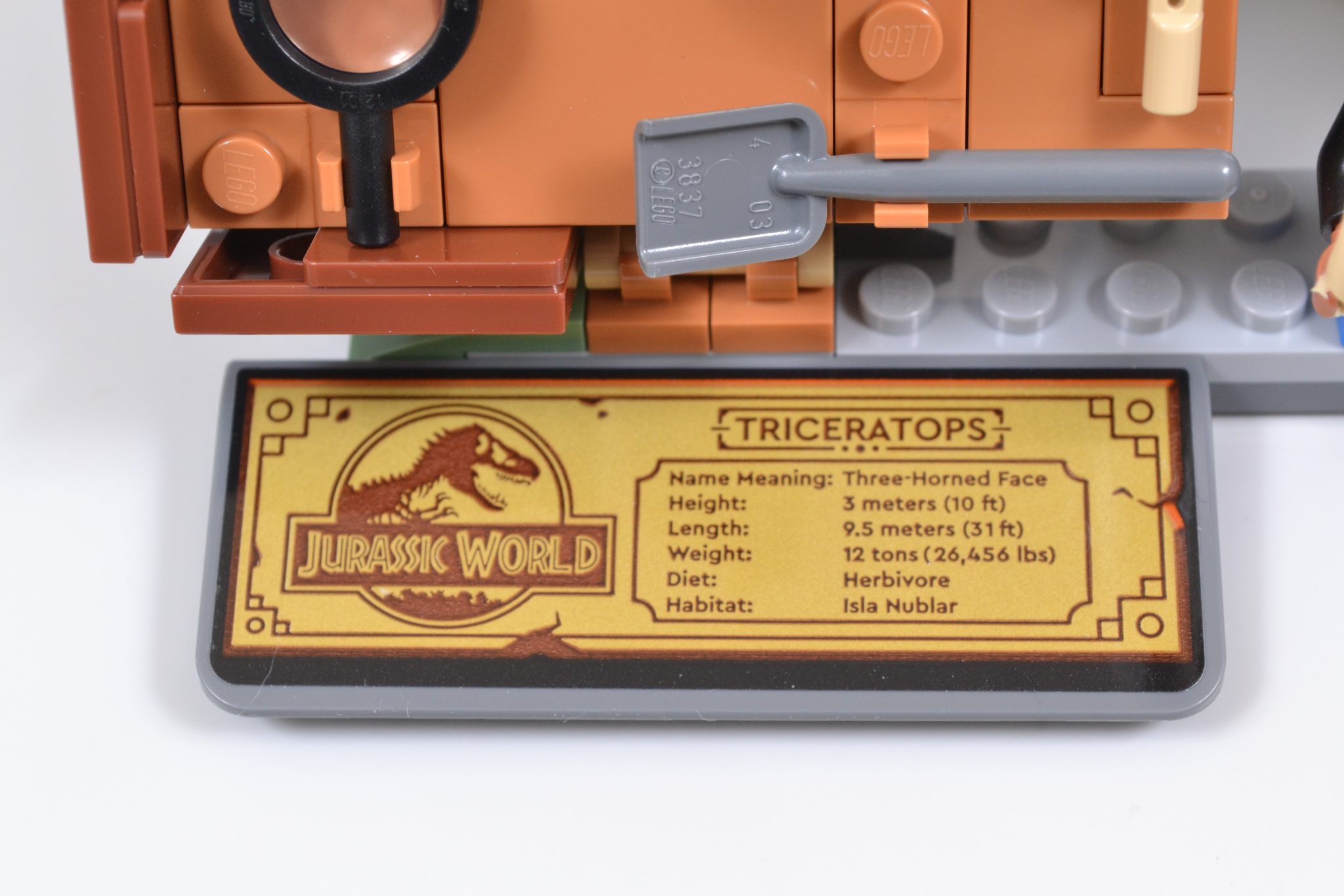 LEGO 76969 Dinosaur Fossils: Triceratops Skull review
