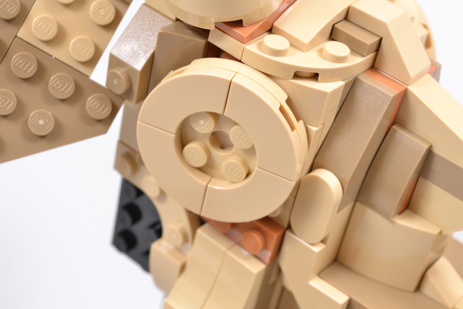 LEGO 76969 Dinosaur Fossils: Triceratops Skull review