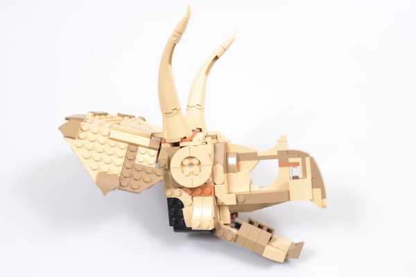 LEGO 76969 Dinosaur Fossils: Triceratops Skull review