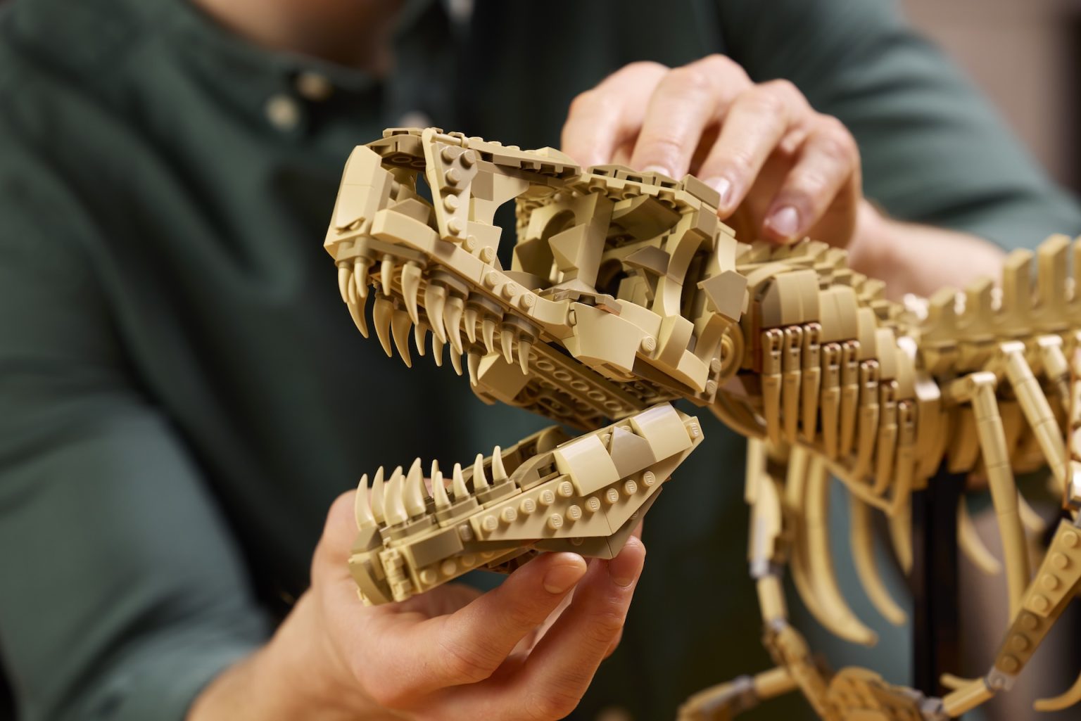 Here's why LEGO Jurassic Park's T. rex skeleton is tan