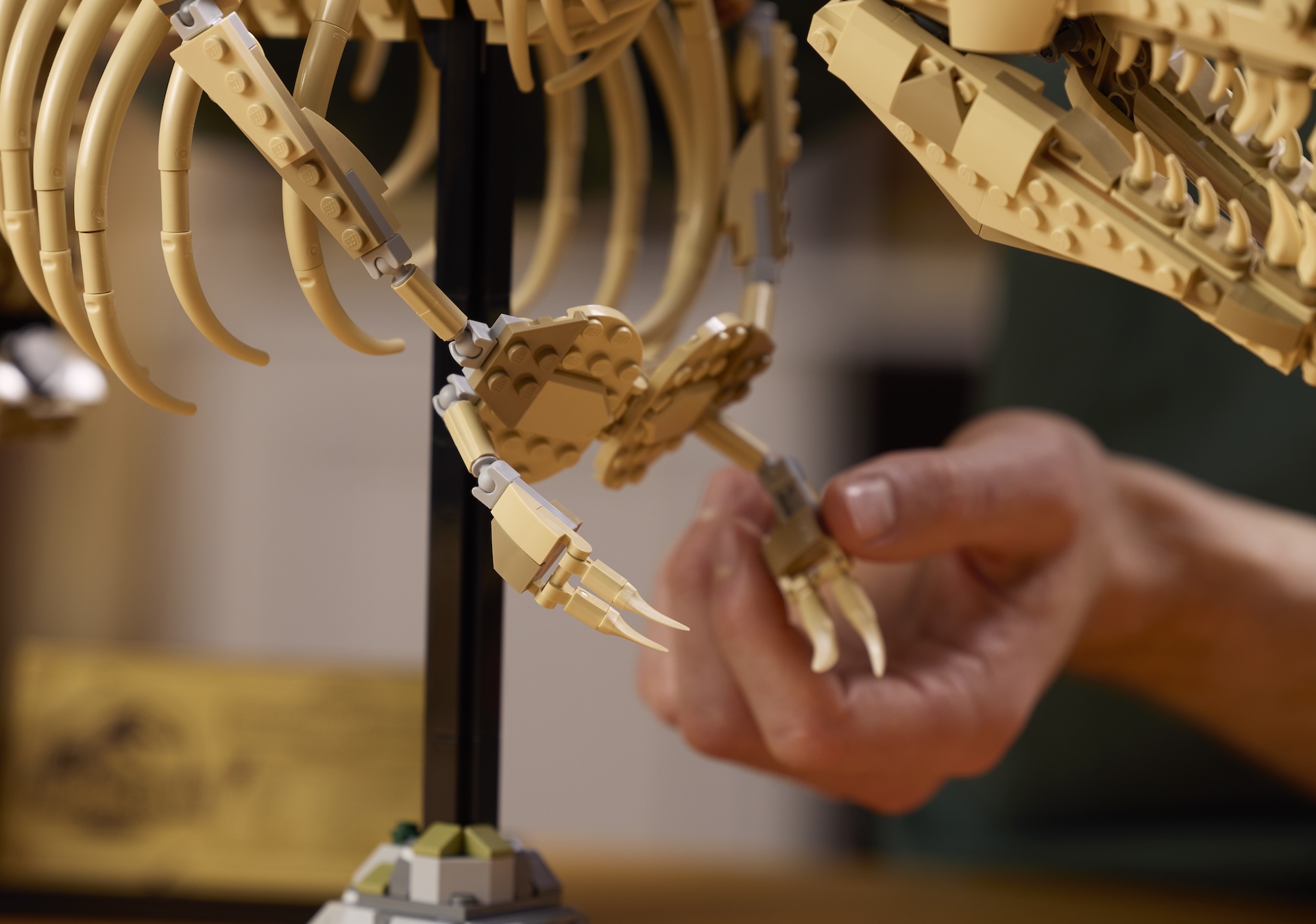 LEGO 76968 Dinosaur Fossils: Tyrannosaurus rex revealed