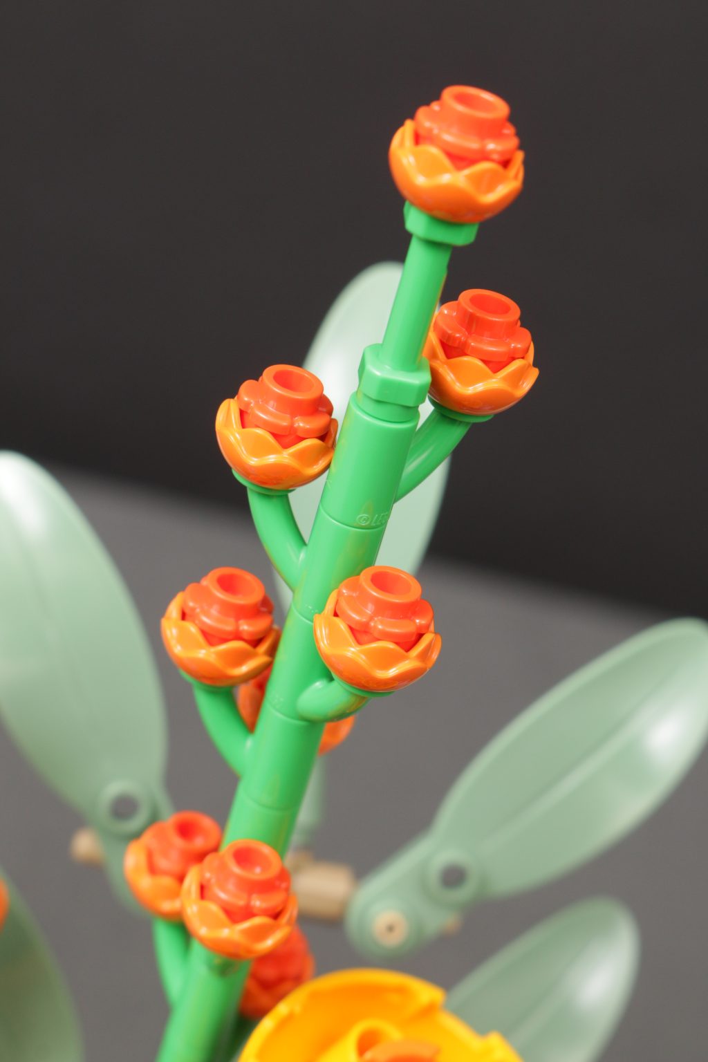 LEGO Botanicals 40762 Mixed Flowerpot GWP review