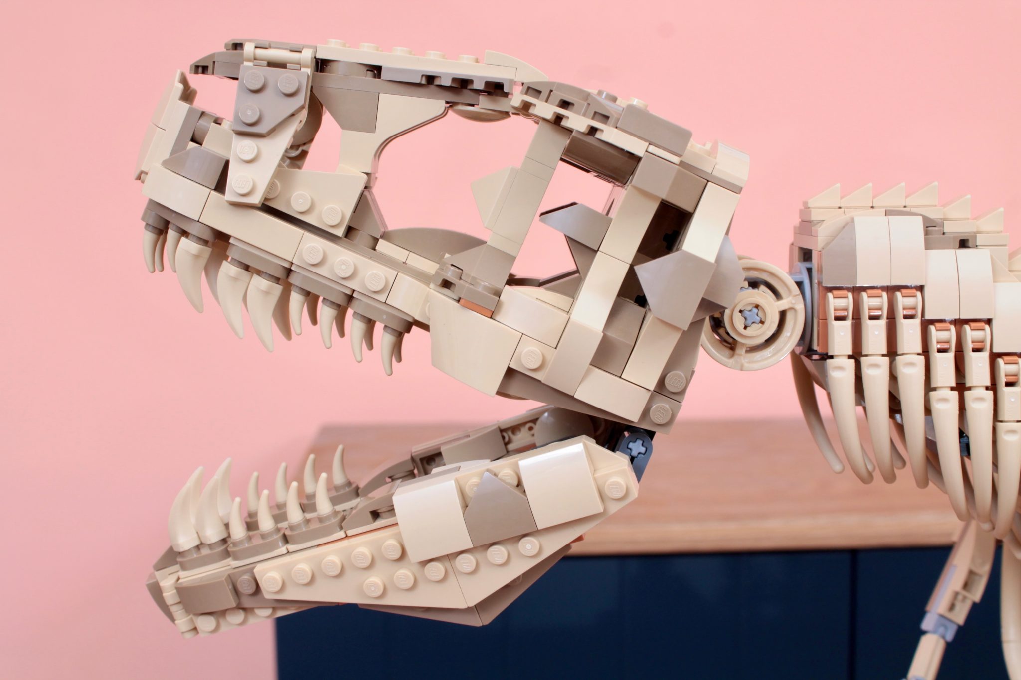 LEGO 76968 Dinosaur Fossils: Tyrannosaurus rex review