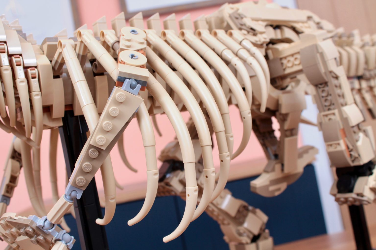 How the LEGO T. rex skeleton balances delicateness and strength