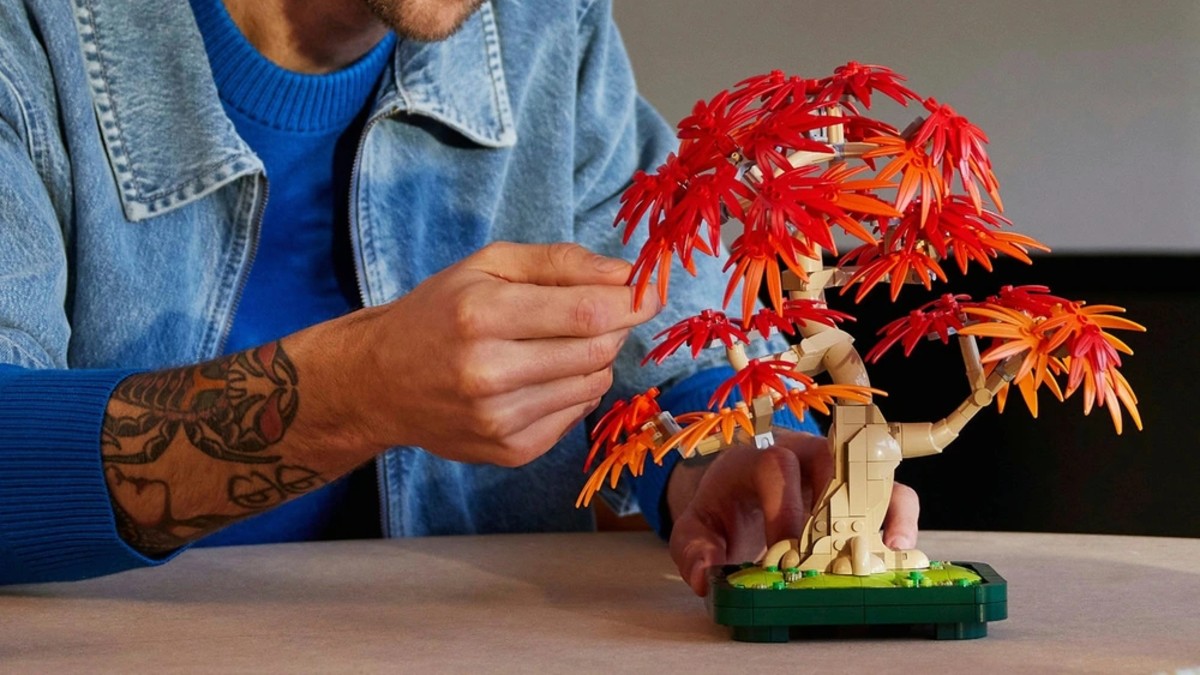 LEGO Botanicals to debut new but familiar foliage element