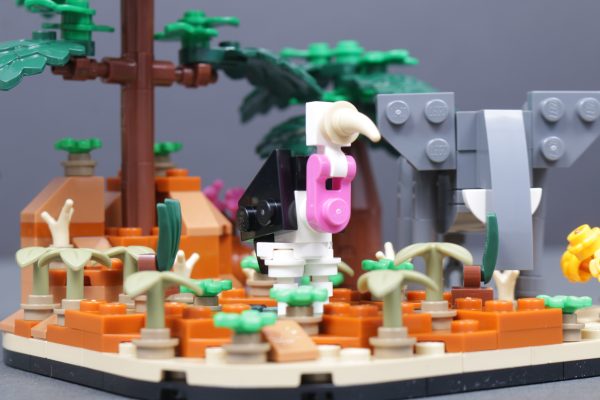 LEGO 40784 African Savanna Diorama GWP review