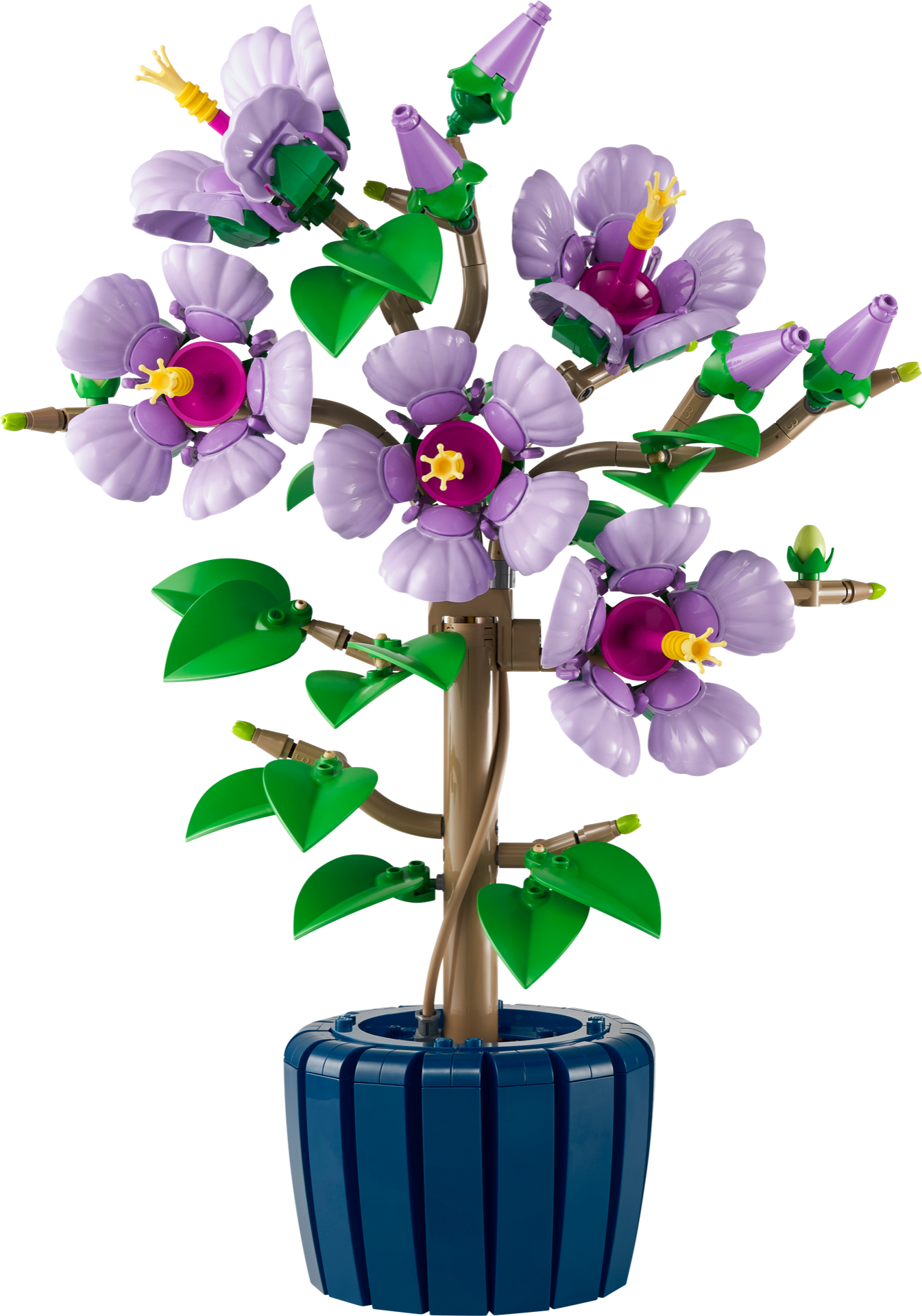 LEGO Botanicals set to grow with two new arrivals for August