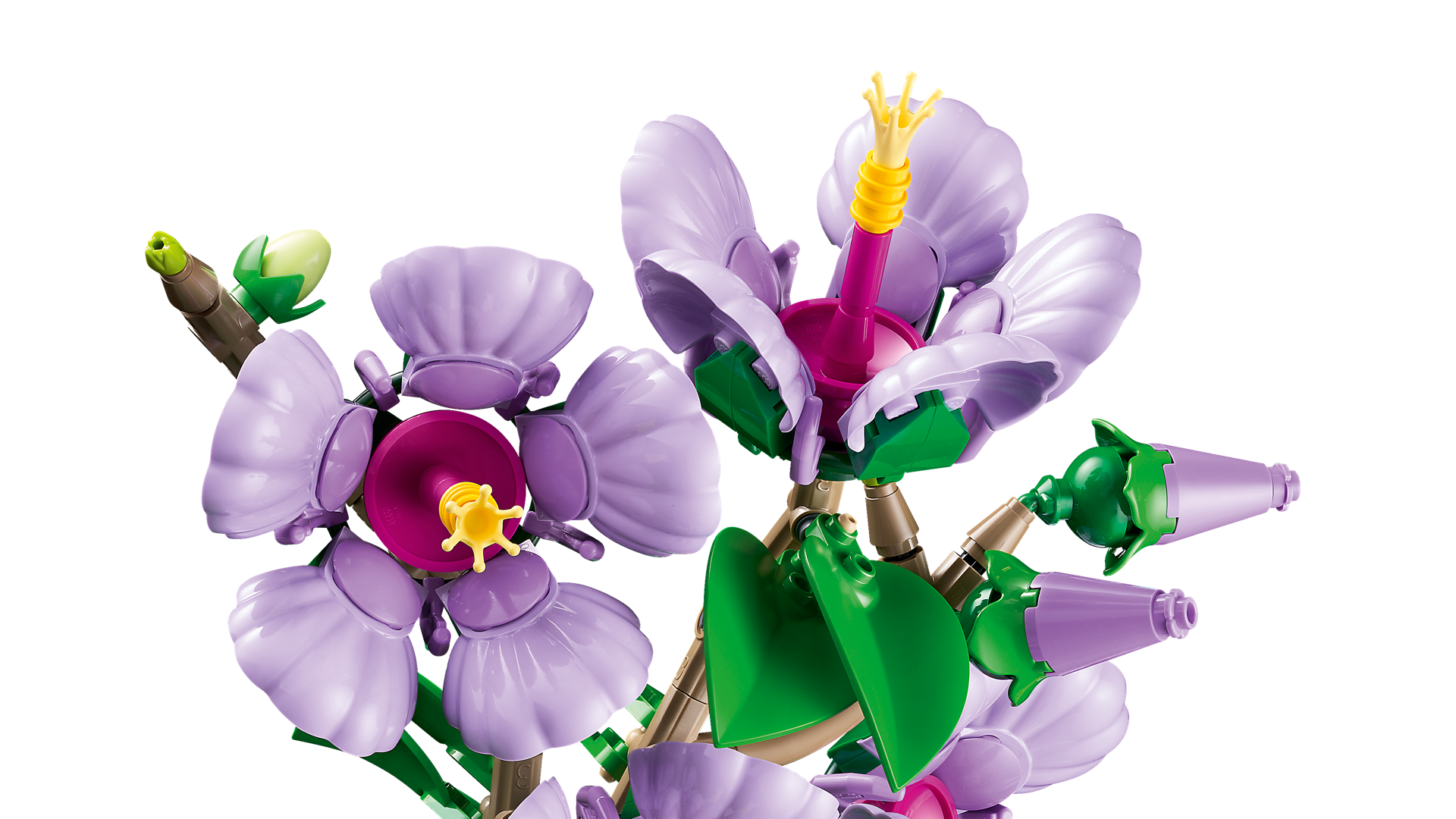 LEGO Botanicals set to grow with two new arrivals for August