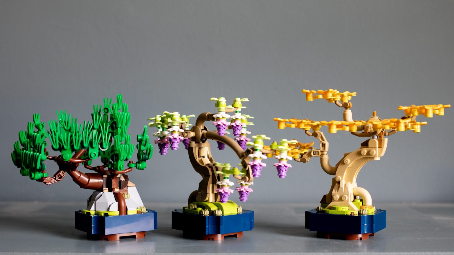 LEGO Botanicals 10373 Mini Bonsai Trees review
