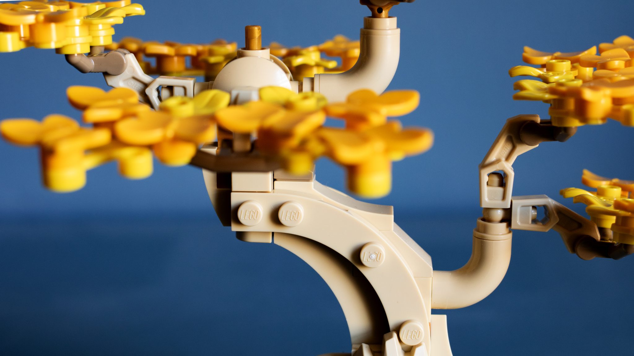 LEGO Botanicals 10373 Mini Bonsai Trees review