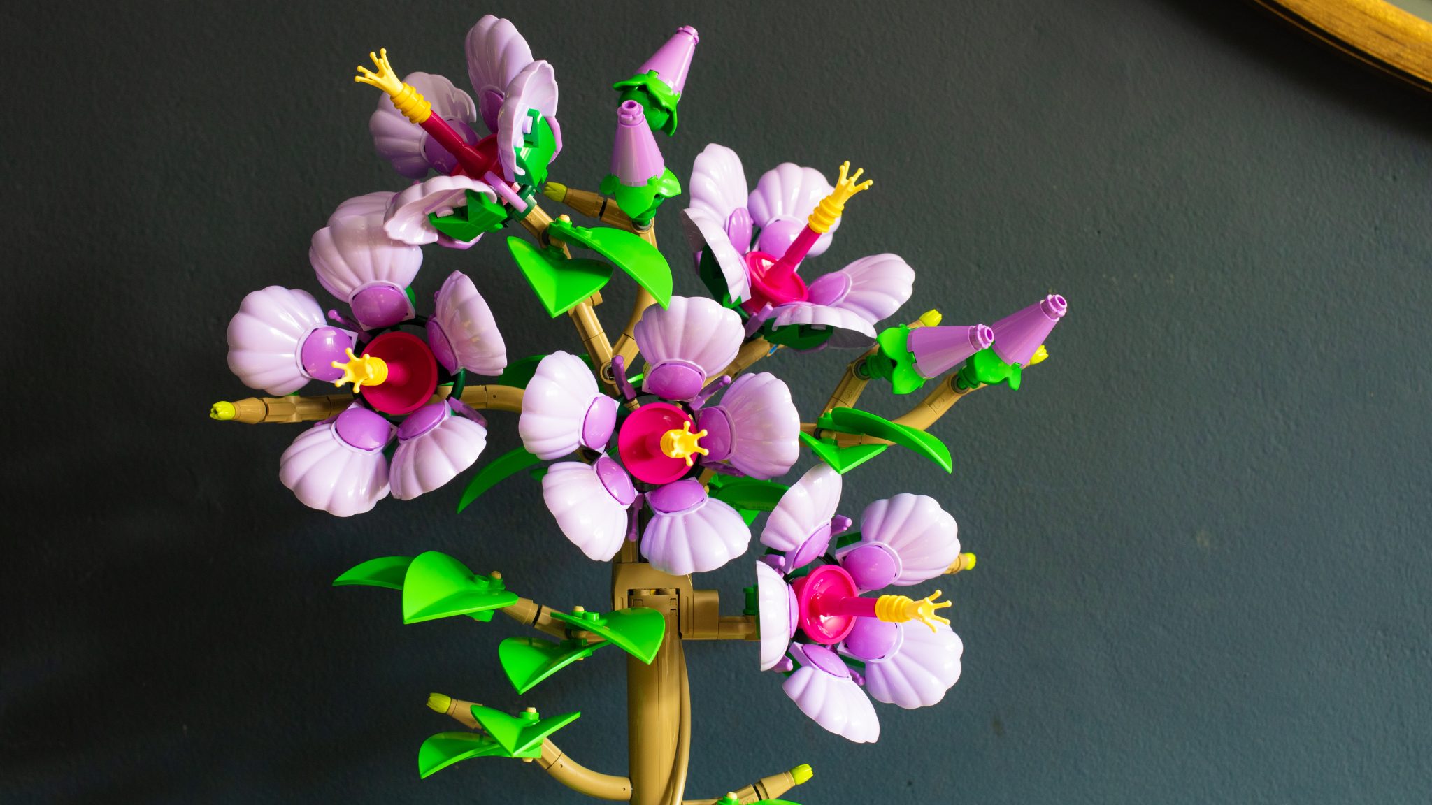 LEGO Botanicals 10372 Hibiscus review