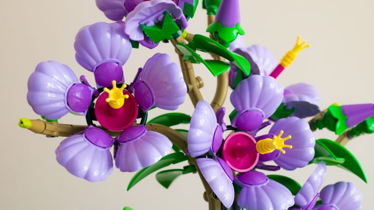 LEGO Botanicals 10372 Hibiscus review