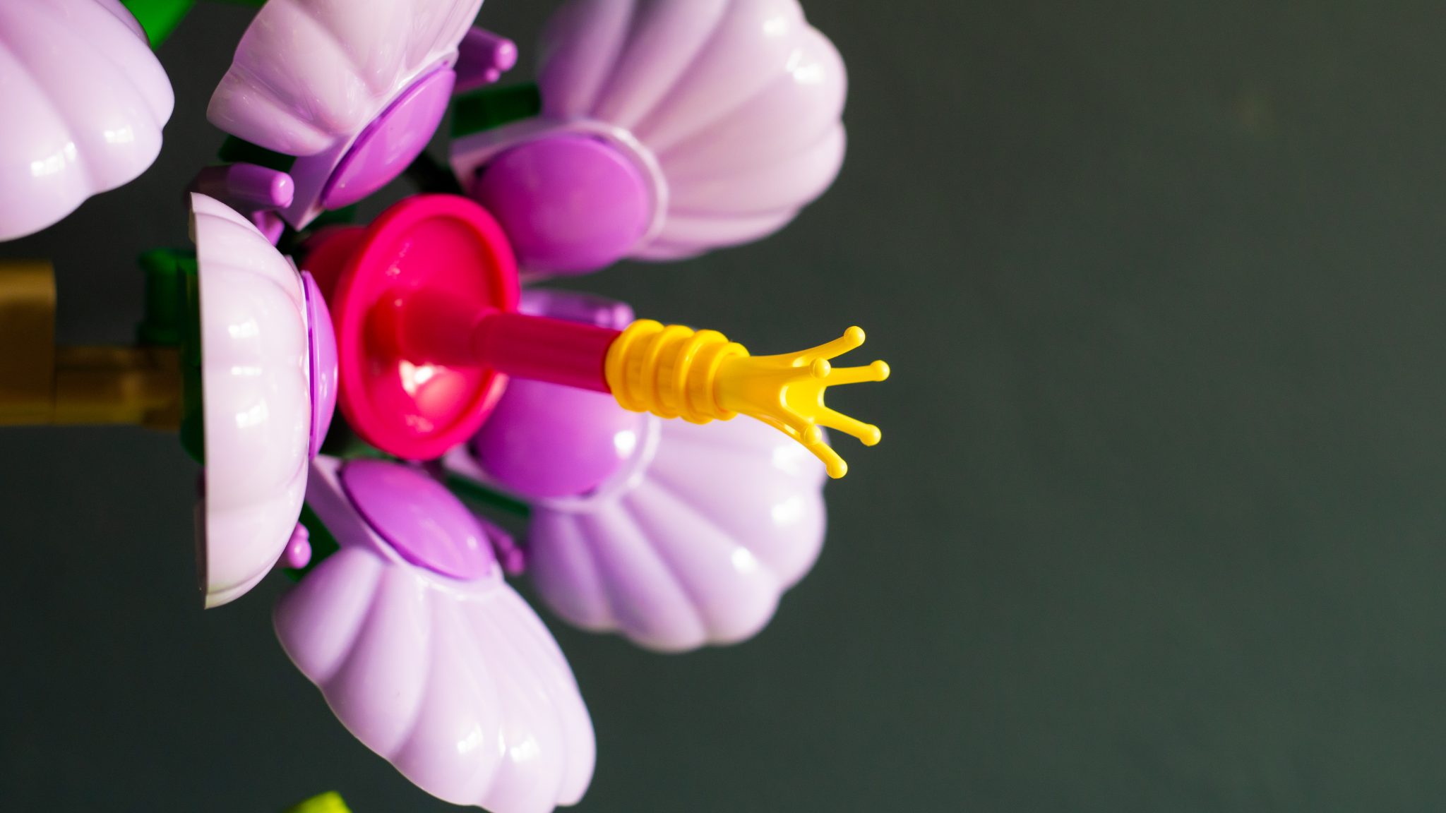 LEGO Botanicals 10372 Hibiscus review