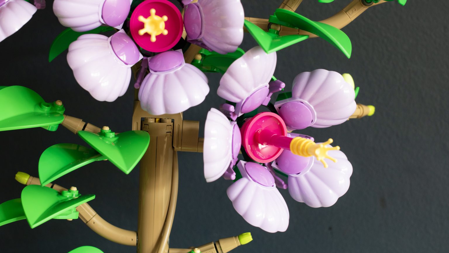 LEGO Botanicals 10372 Hibiscus review