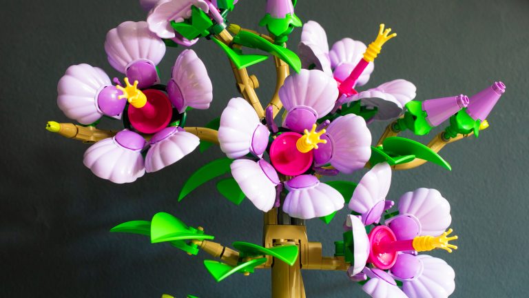 LEGO Botanicals 10372 Hibiscus review