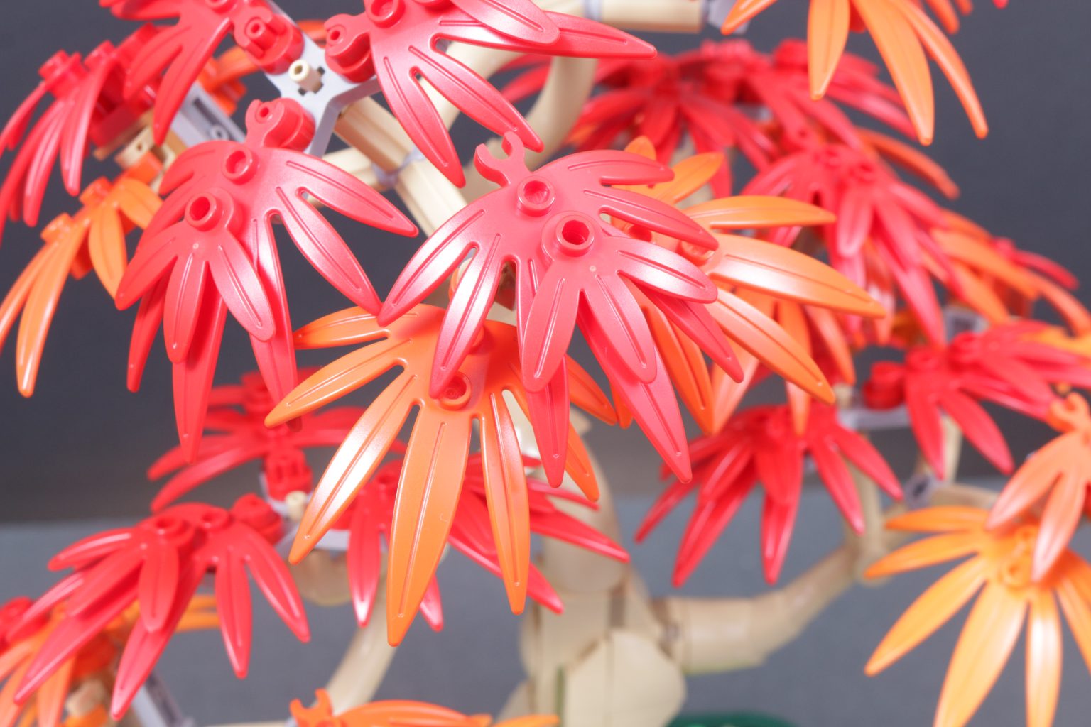 LEGO Botanicals 10348 Japanese Maple Tree review and gallery