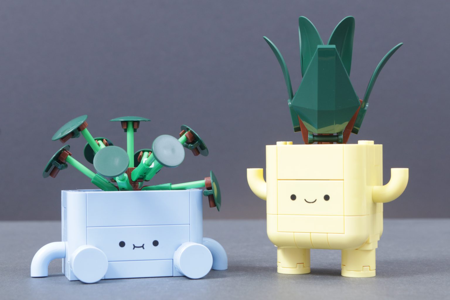 LEGO Botanicals 10349 Happy Plants is the cutest set ever