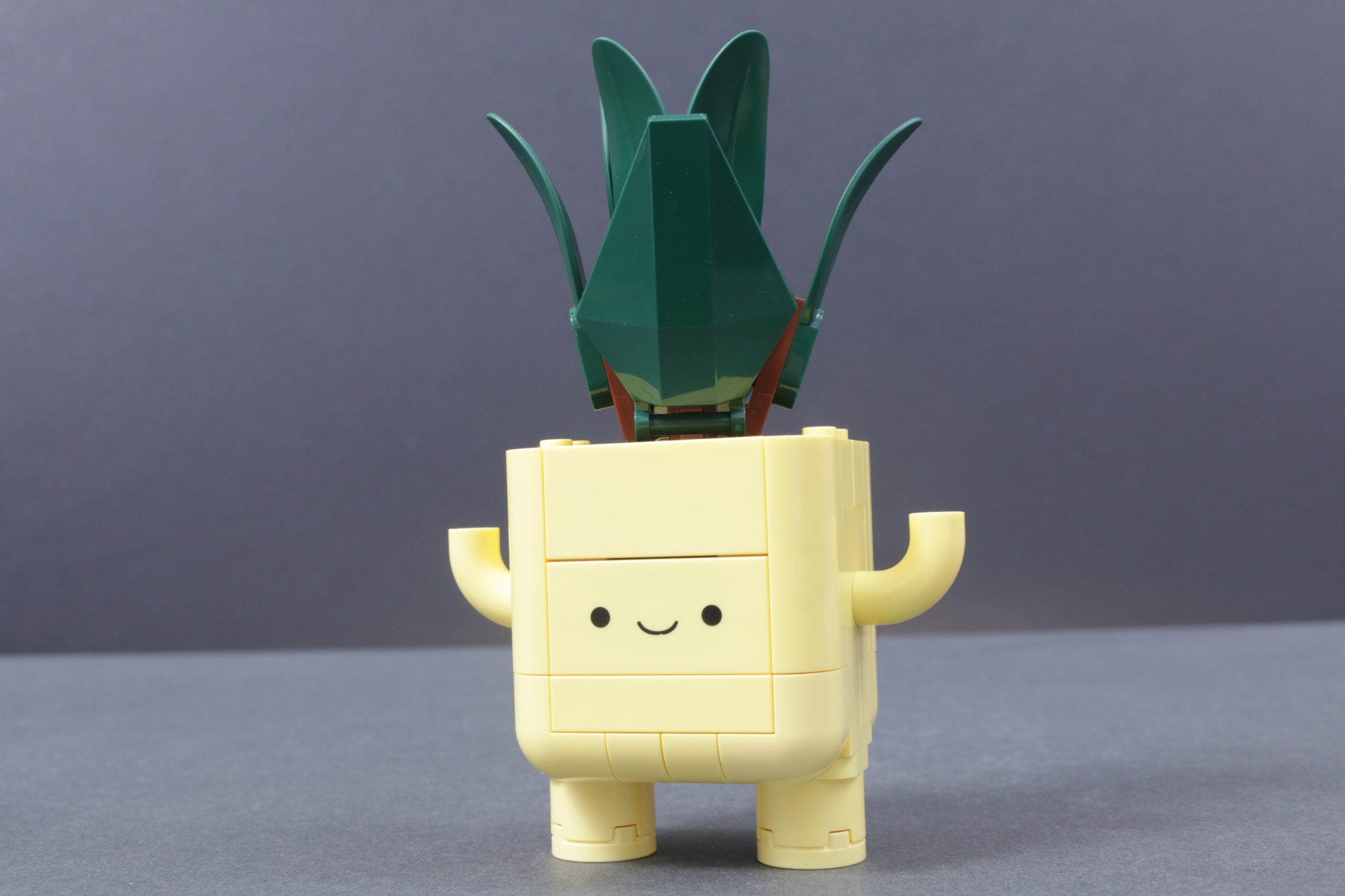 LEGO Botanicals 10349 Happy Plants is the cutest set ever