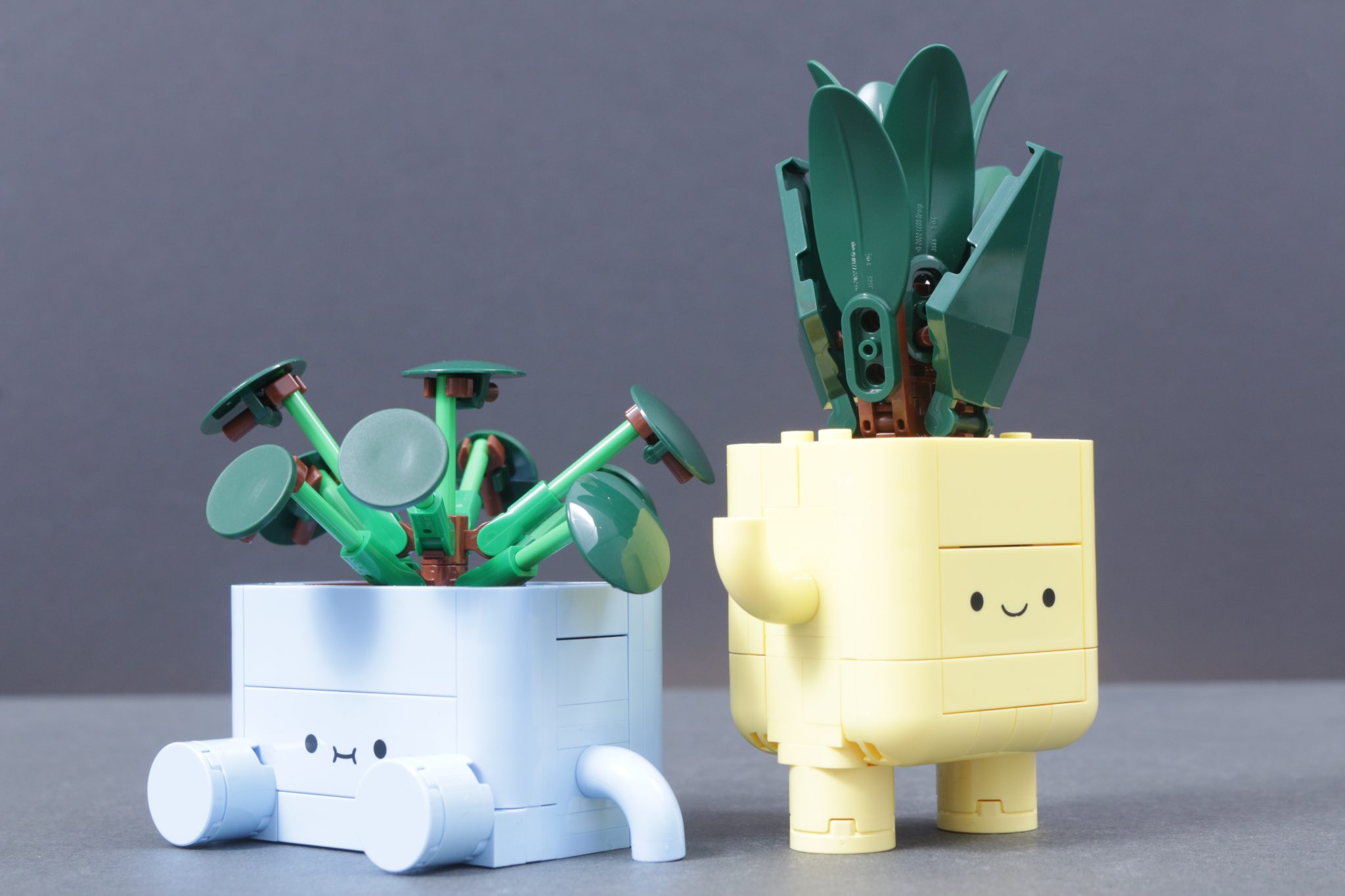 LEGO Botanicals 10349 Happy Plants is the cutest set ever