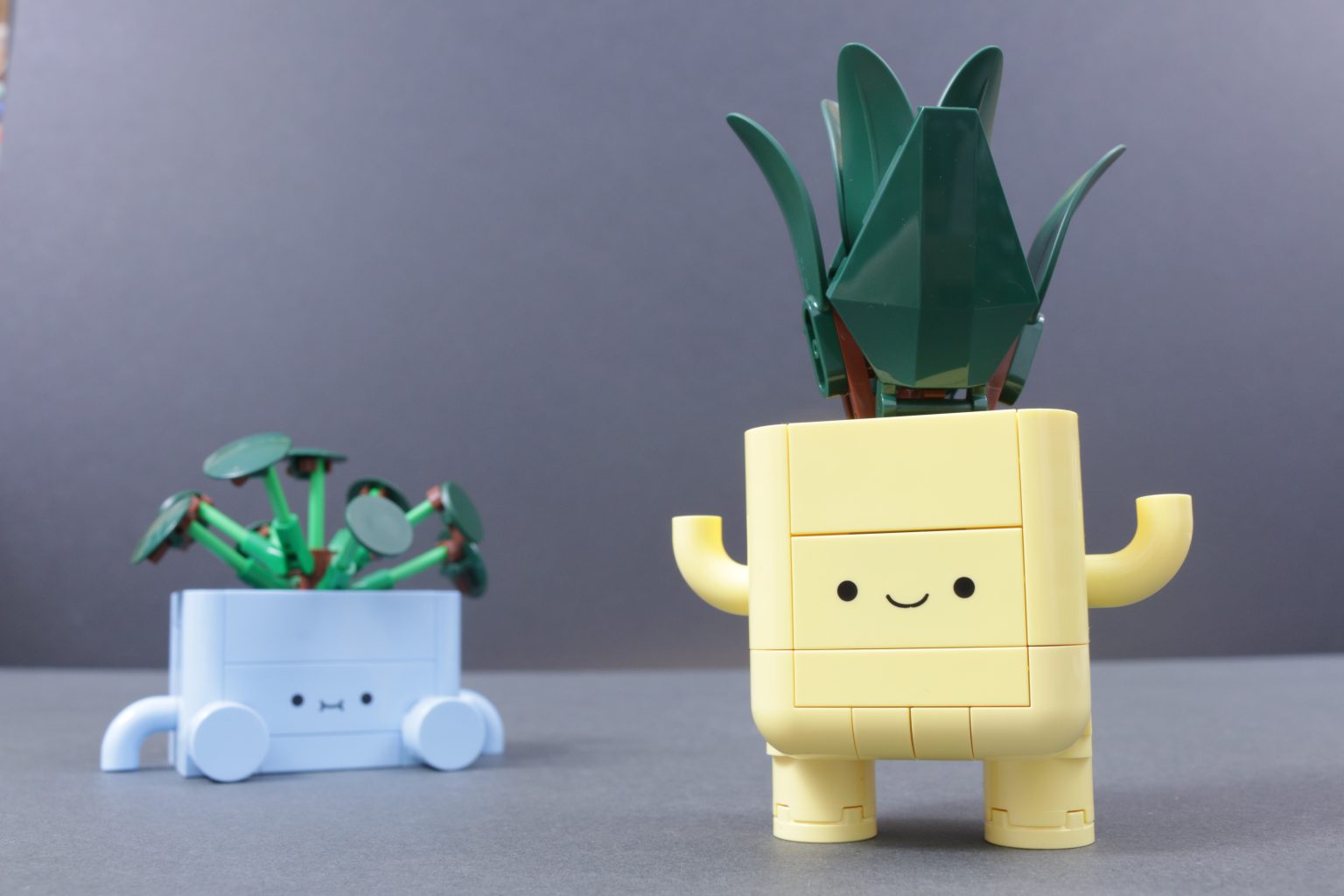 LEGO Botanicals 10349 Happy Plants is the cutest set ever