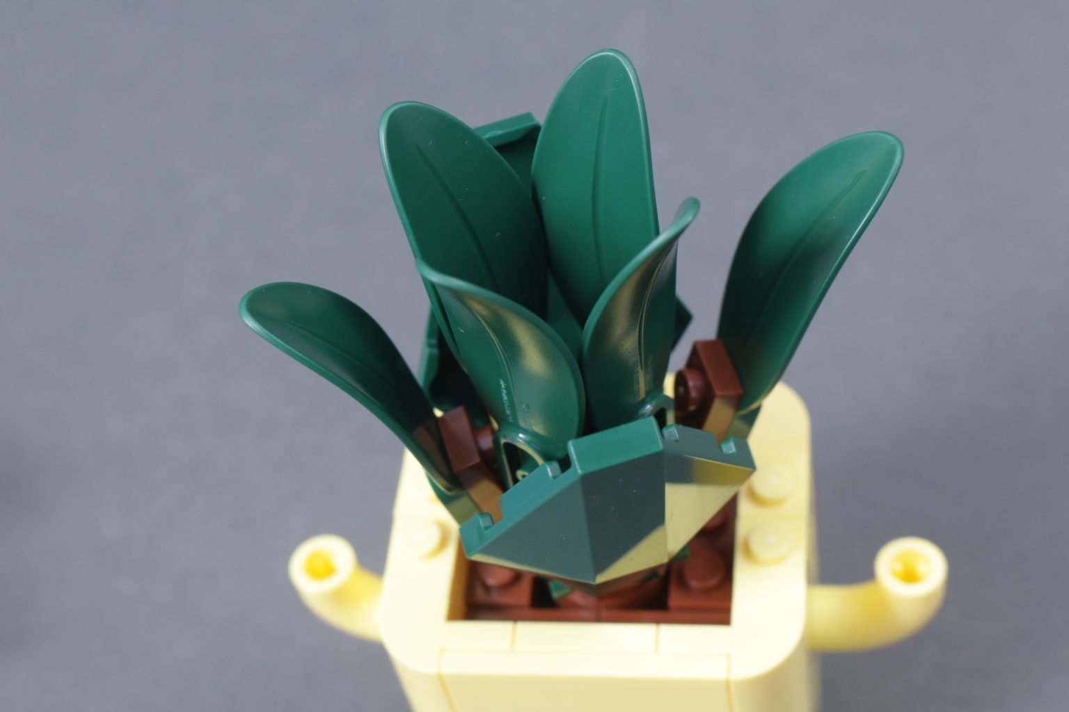 LEGO Botanicals 10349 Happy Plants is the cutest set ever