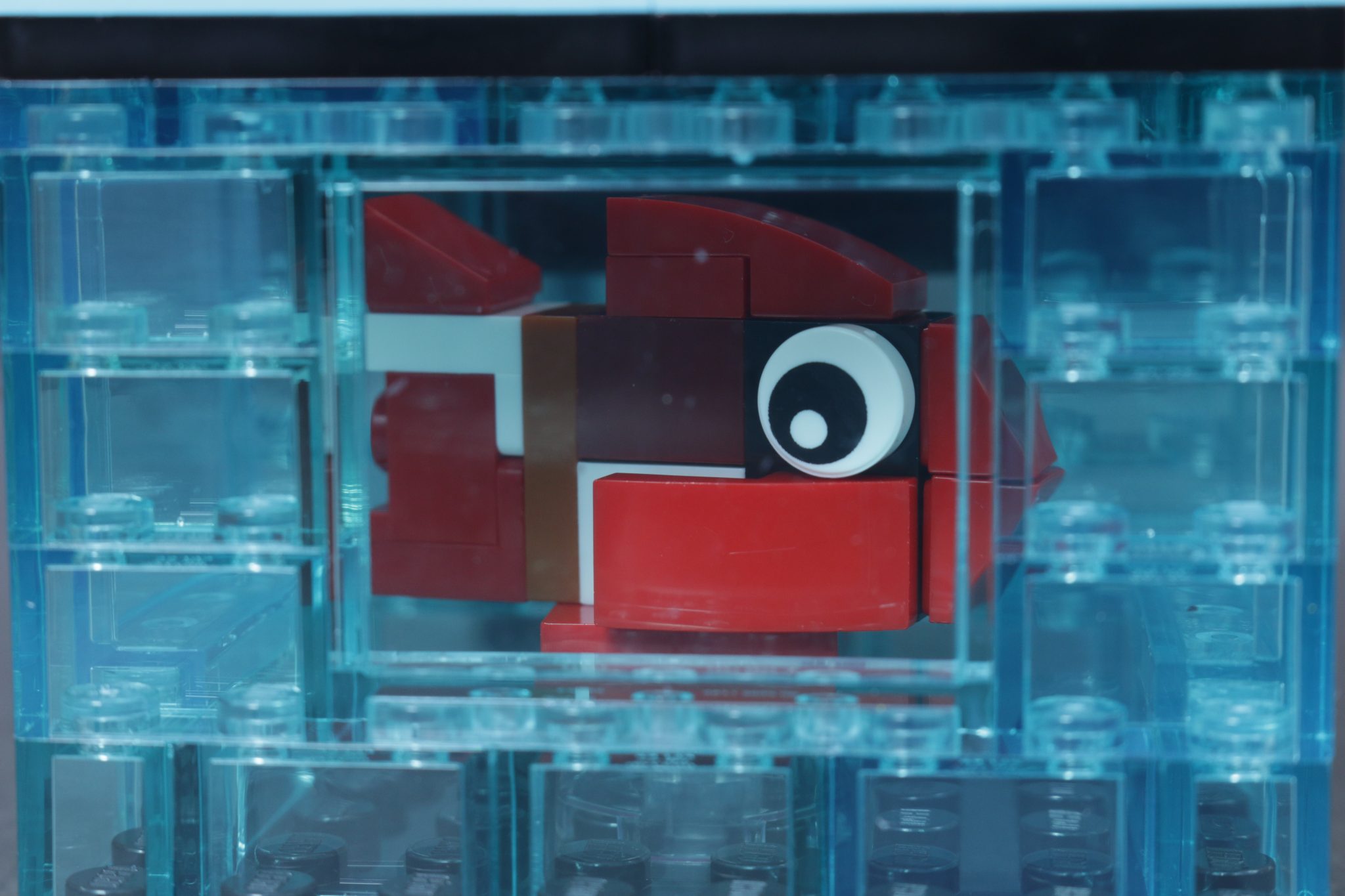 LEGO Icons 5009823 Fish Tank Filter & Fish Food GWP review
