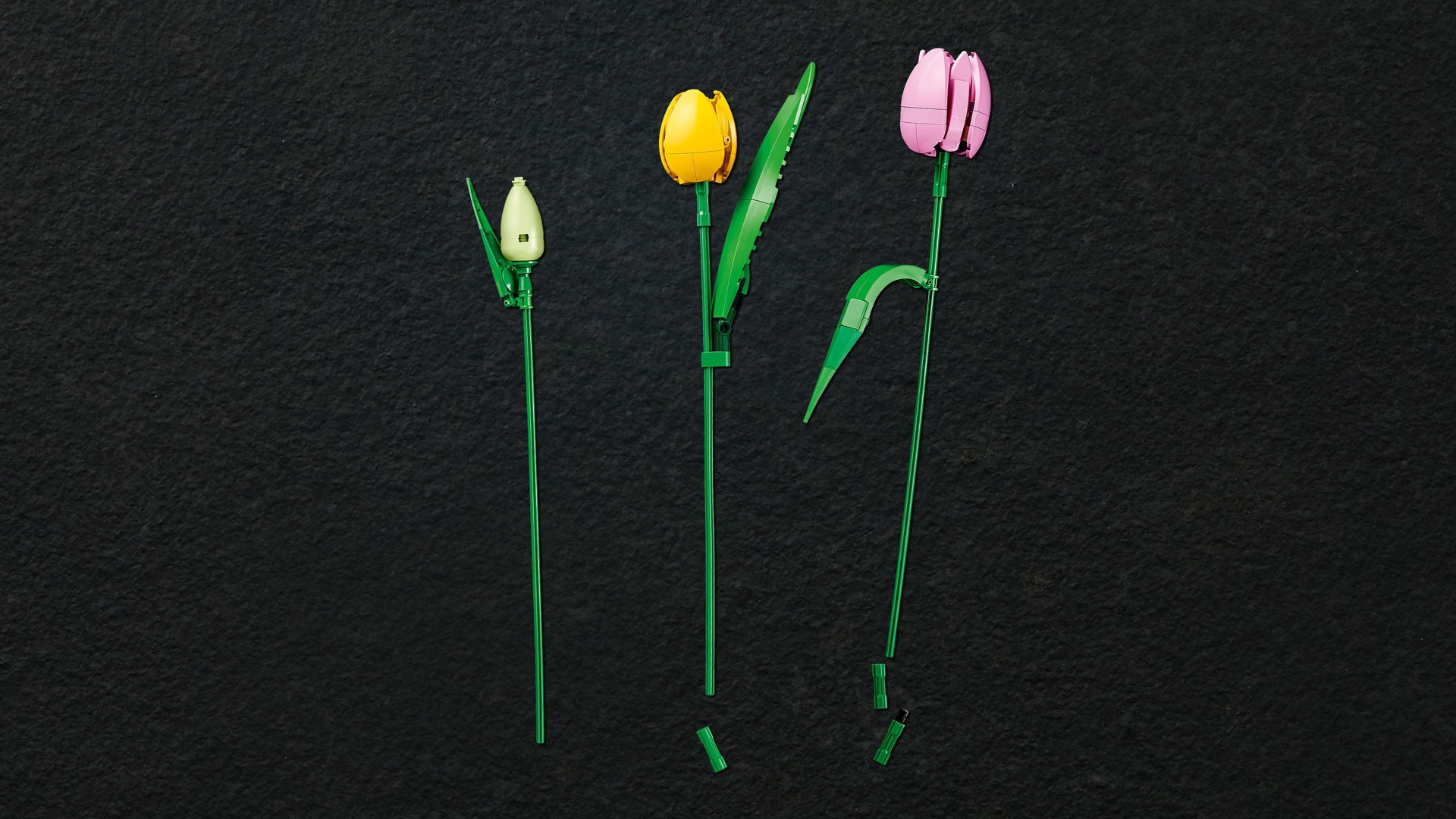 LEGO Botanicals grows to include 11501 Tulip Bouquet in 2026