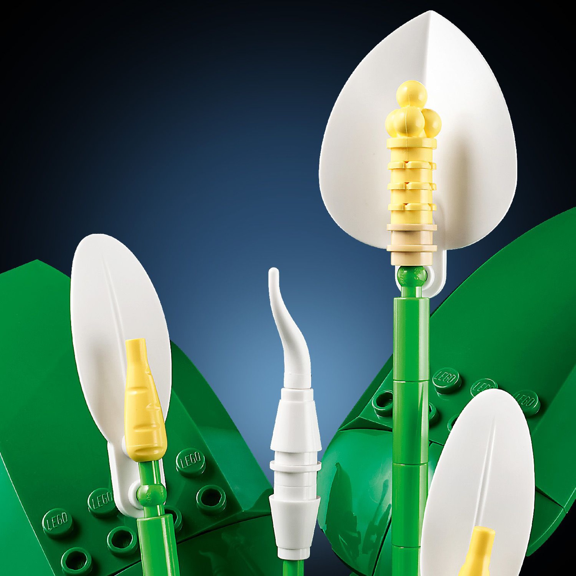 Three LEGO Botanicals 2026 sets officially revealed