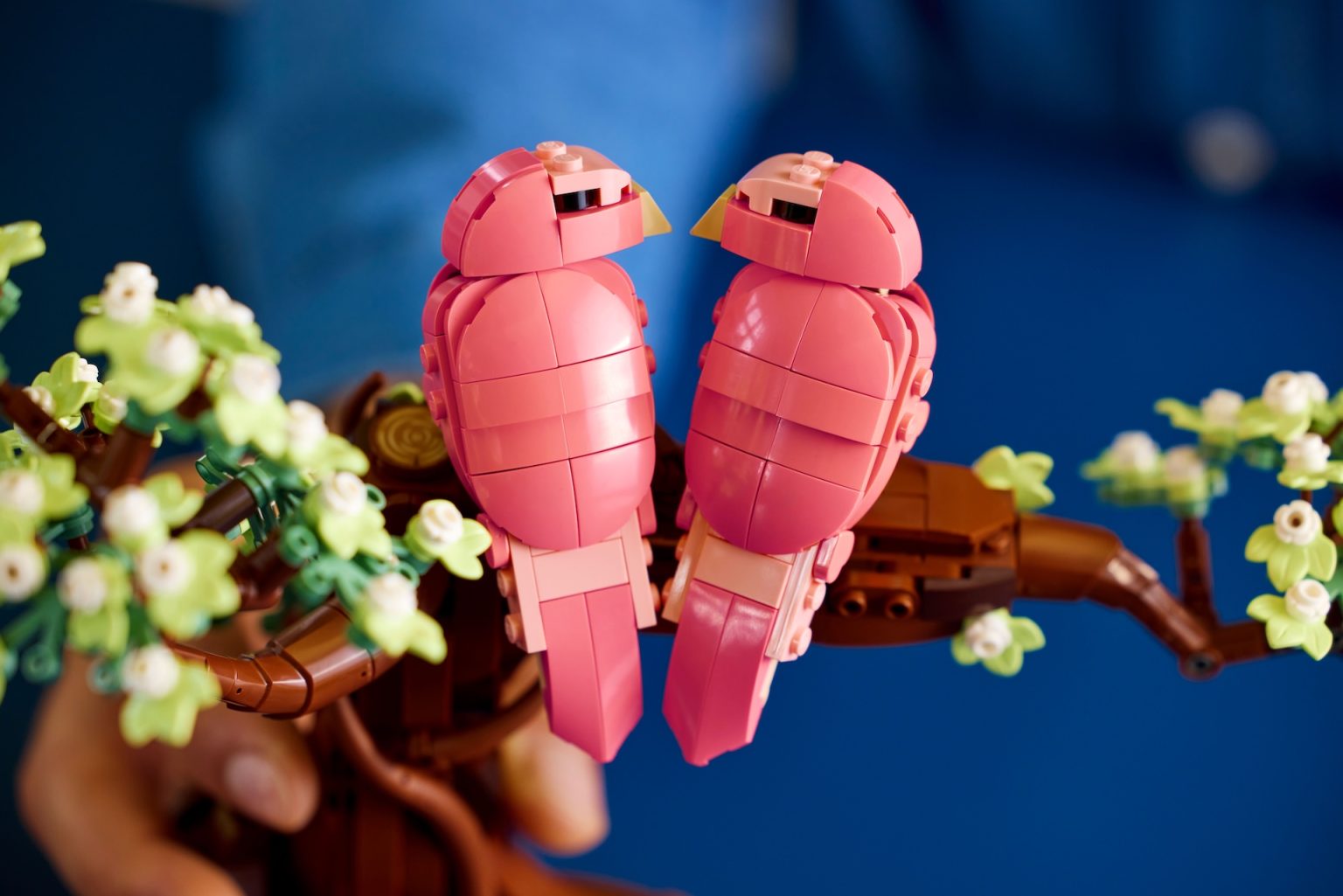 LEGO Ideas 21365 Love Birds revealed for Valentine’s Day