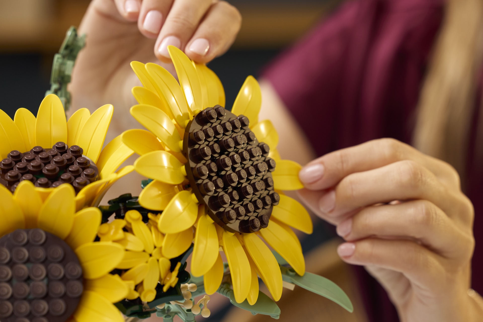 LEGO Botanicals set to bloom with sunflowers and magnolia