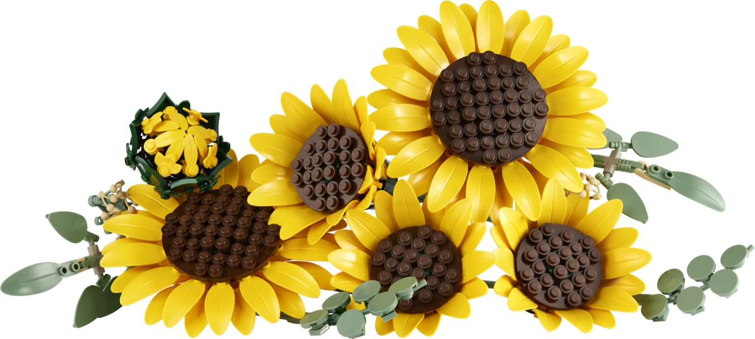 LEGO Botanicals set to bloom with sunflowers and magnolia