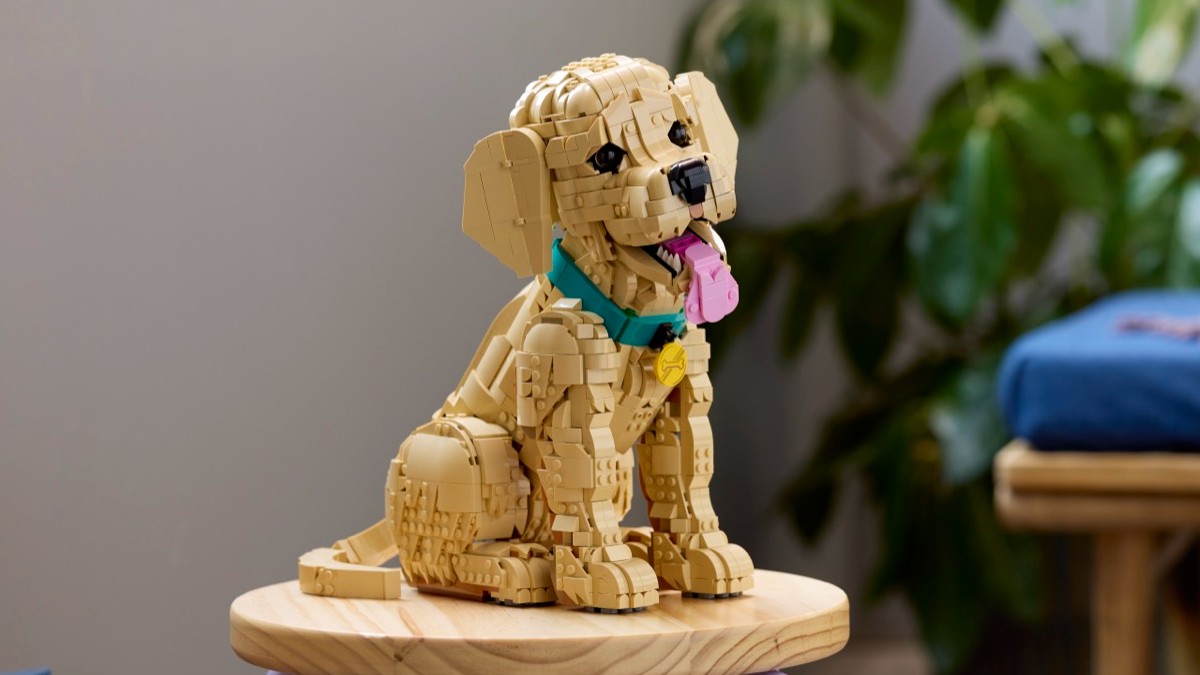 Every LEGO set launching throughout February 2026