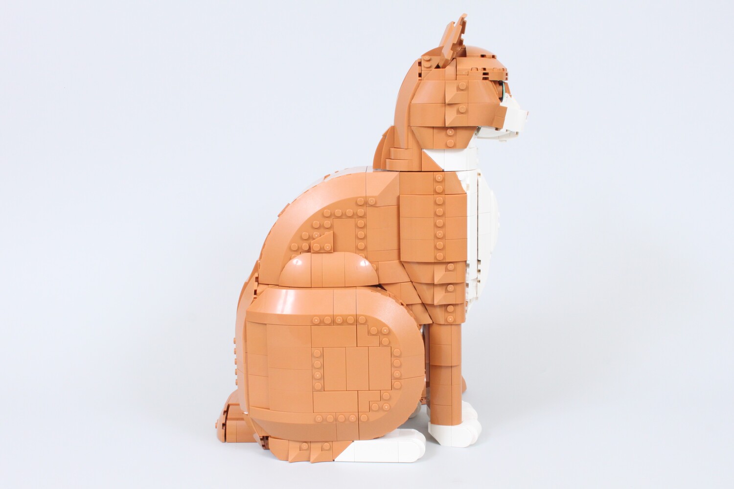 LEGO Ideas 21376 Orange Cat hands-on: what's changed?