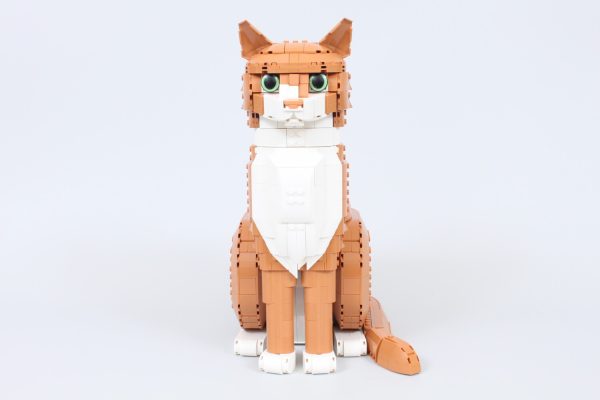 LEGO Ideas 21376 Orange Cat hands-on: what's changed?