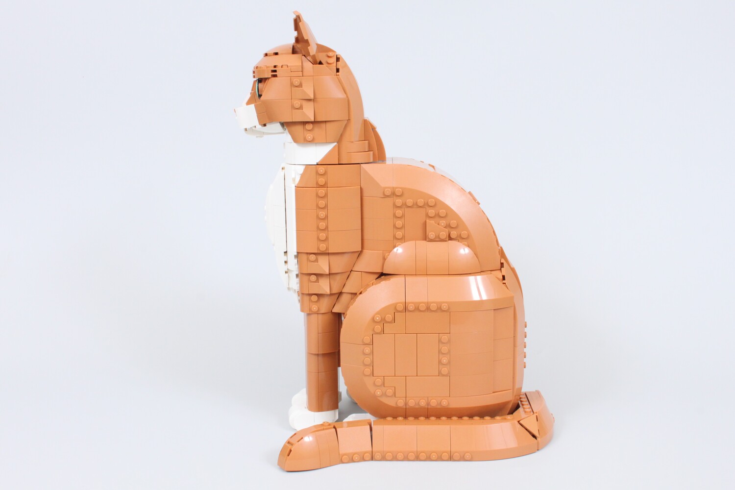 LEGO Ideas 21376 Orange Cat hands-on: what's changed?