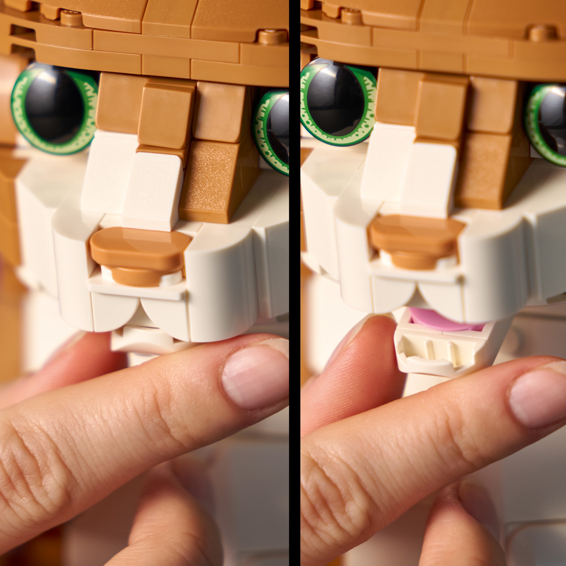LEGO Ideas 21376 Orange Cat officially unveiled