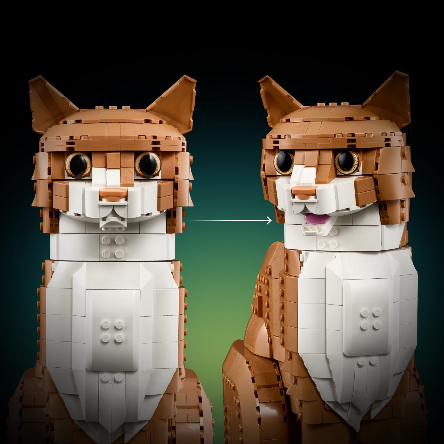 LEGO Ideas 21376 Orange Cat officially unveiled