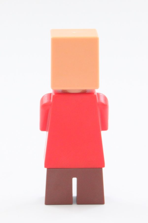 LEGO Minecraft 21188 The Llama Village review and gallery