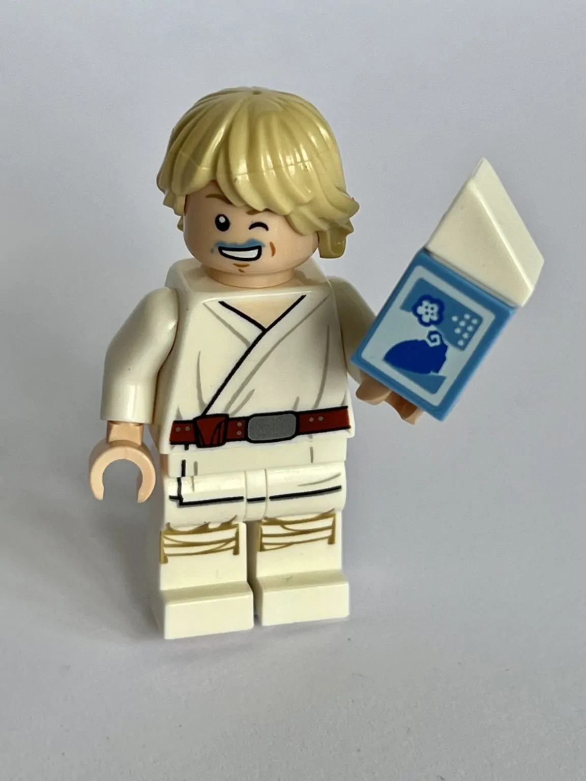 LEGO Star Wars 30625 Luke Skywalker with Blue Milk reviewed